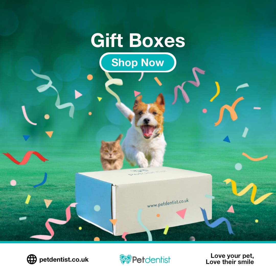 Petdentist-Pet Gift Boxes