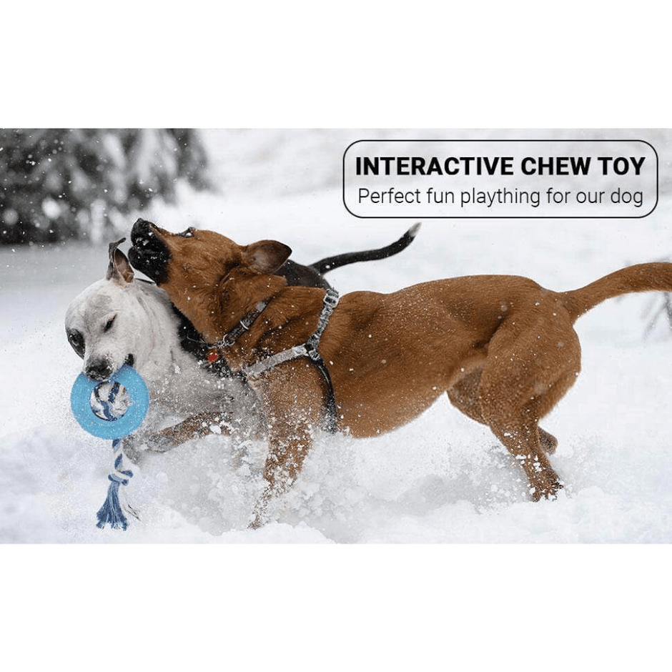 Petdentist | High Quality Dental Care Products for Dogs and Cats